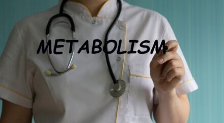What Is Metabolism? - The Fact Site