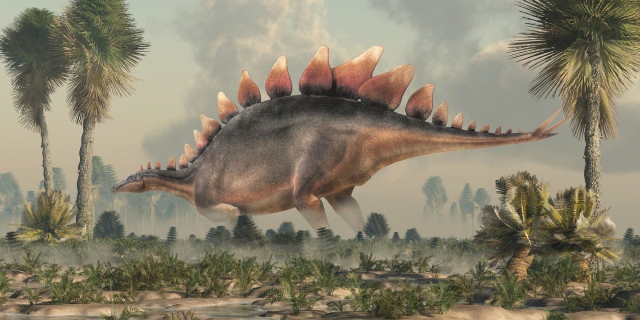9 Beefy Facts About The Brontosaurus - The Fact Site