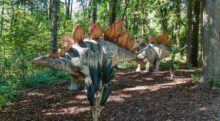 10 Shocking Facts About The Stegosaurus - The Fact Site