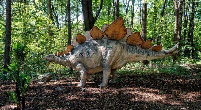 10 Shocking Facts About The Stegosaurus - The Fact Site