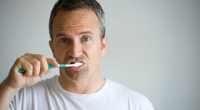 10 Facts About Brushing Your Teeth - The Fact Site