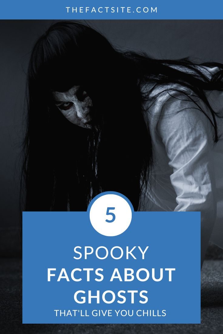 5 Spooky Facts About Ghosts That'll Give You Chills - The Fact Site