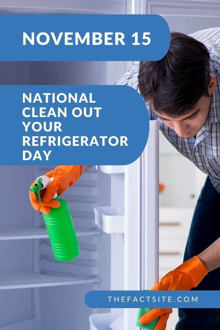 National Clean Out Your Refrigerator Day | November 15 - The Fact Site