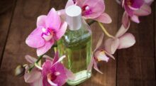 An Aromatic History Of Perfume - The Fact Site