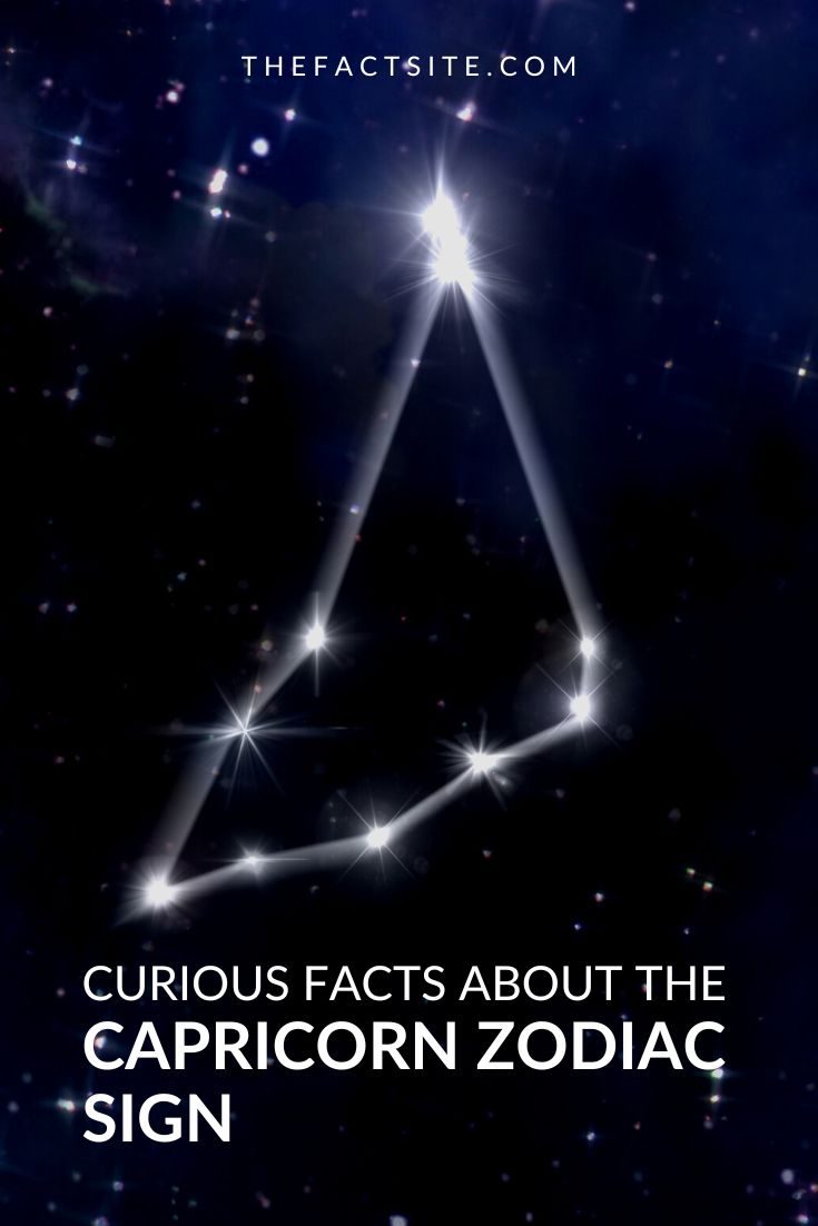 Curious Facts About The Capricorn Zodiac Sign - The Fact Site