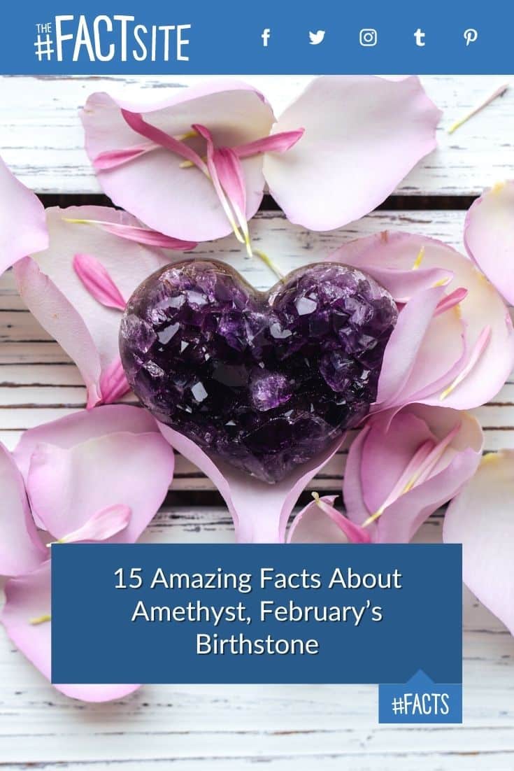 15 Amazing Facts About Amethyst, February's Birthstone - The Fact Site