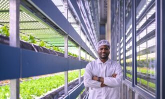 What Is Vertical Farming? - The Fact Site