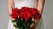 12 Romantic Facts About Red Roses - The Fact Site