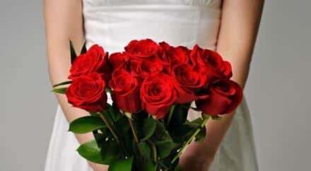 12 Romantic Facts About Red Roses - The Fact Site