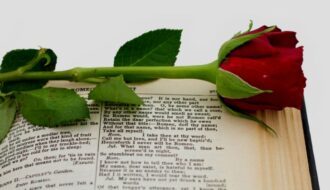 12 Romantic Facts About Red Roses - The Fact Site