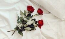 12 Romantic Facts About Red Roses - The Fact Site