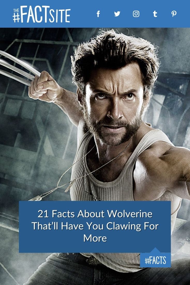 21 Facts About Wolverine That’ll Have You Clawing For More - The Fact Site