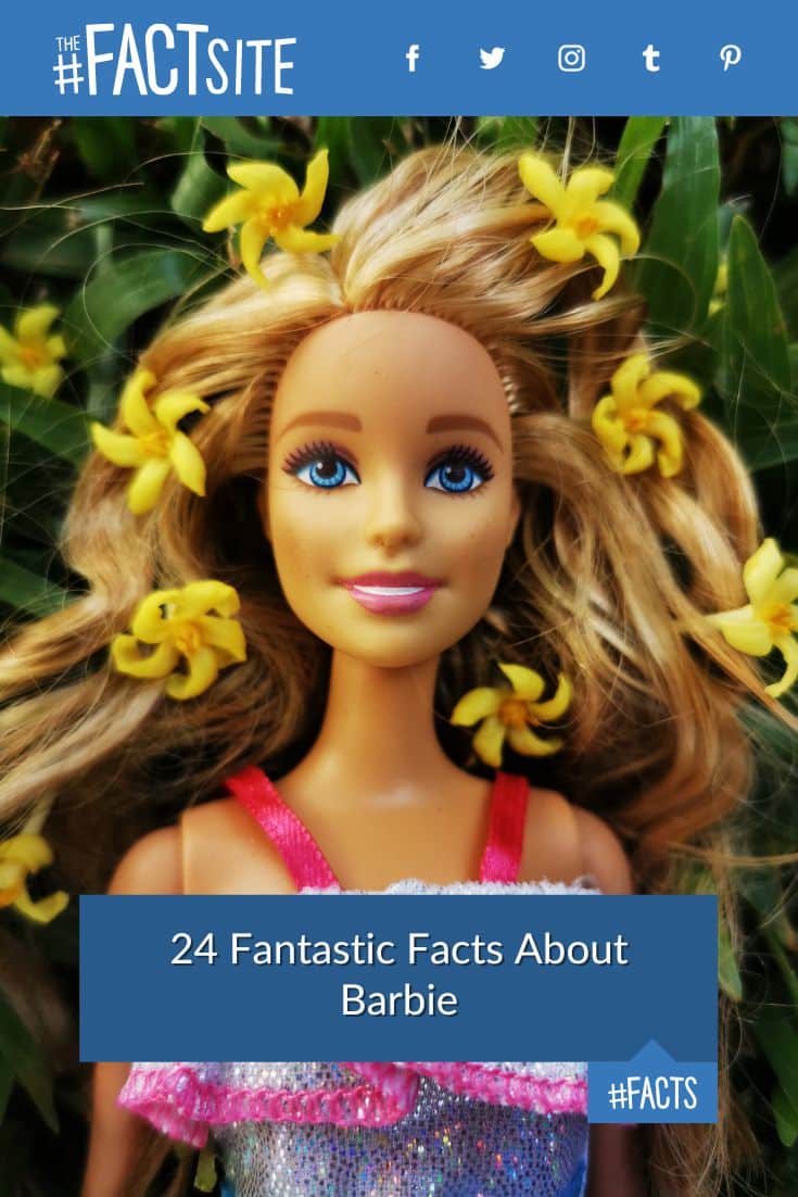 24 Fantastic Facts About Barbie - The Fact Site