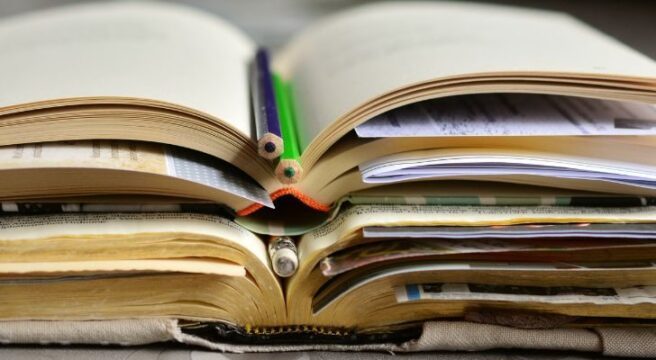 What Is A Polymath? - The Fact Site