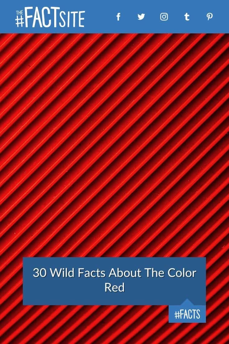 30 Wild Facts About the Color Red - The Fact Site