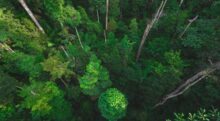 50 Fascinating Earth Day Facts For Kids - The Fact Site