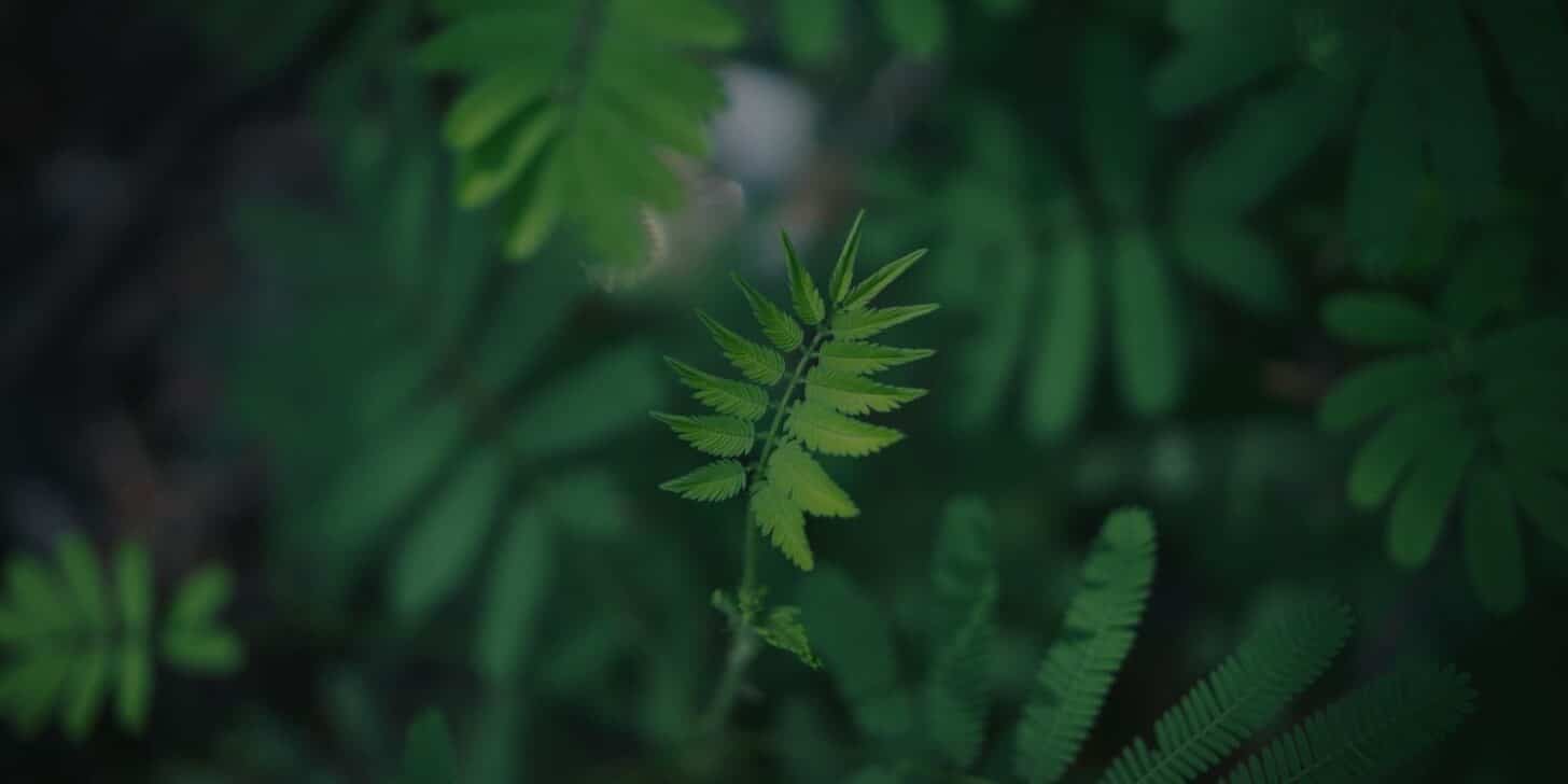 40 Distinct Facts About Drake - The Fact Site