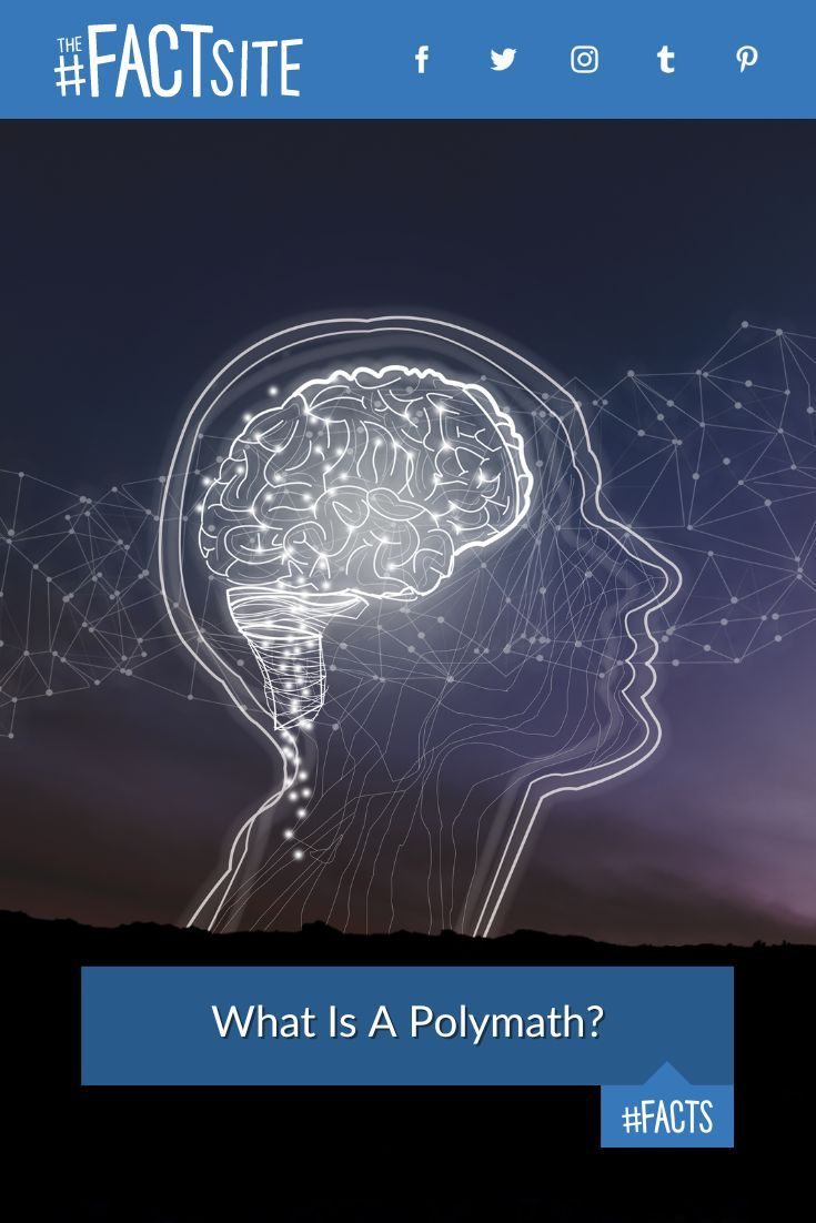 What Is A Polymath? - The Fact Site