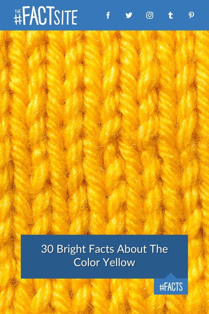 30 Bright Facts About The Color Yellow - The Fact Site
