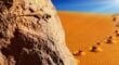 Who Lives in The Sahara Desert? - The Fact Site