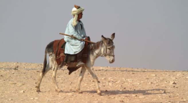 Who Lives in The Sahara Desert? - The Fact Site