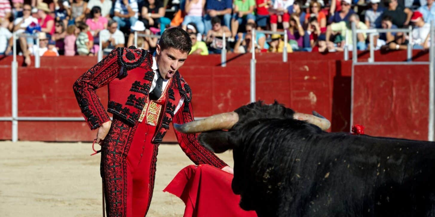Do Bulls Really Get Angry At The Color Red? - The Fact Site
