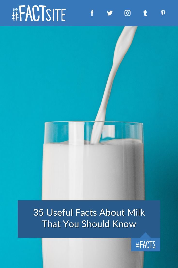 35 Useful Facts About Milk That You Should Know - The Fact Site