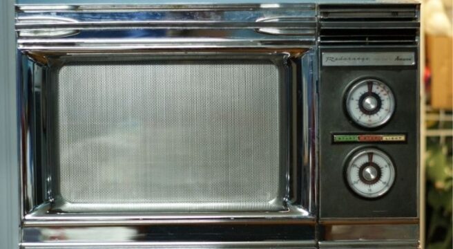 The History & Origins Of The Microwave - The Fact Site