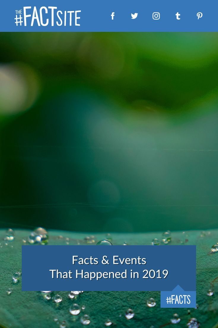 2019: Facts & Events That Happened in This Year - The Fact Site