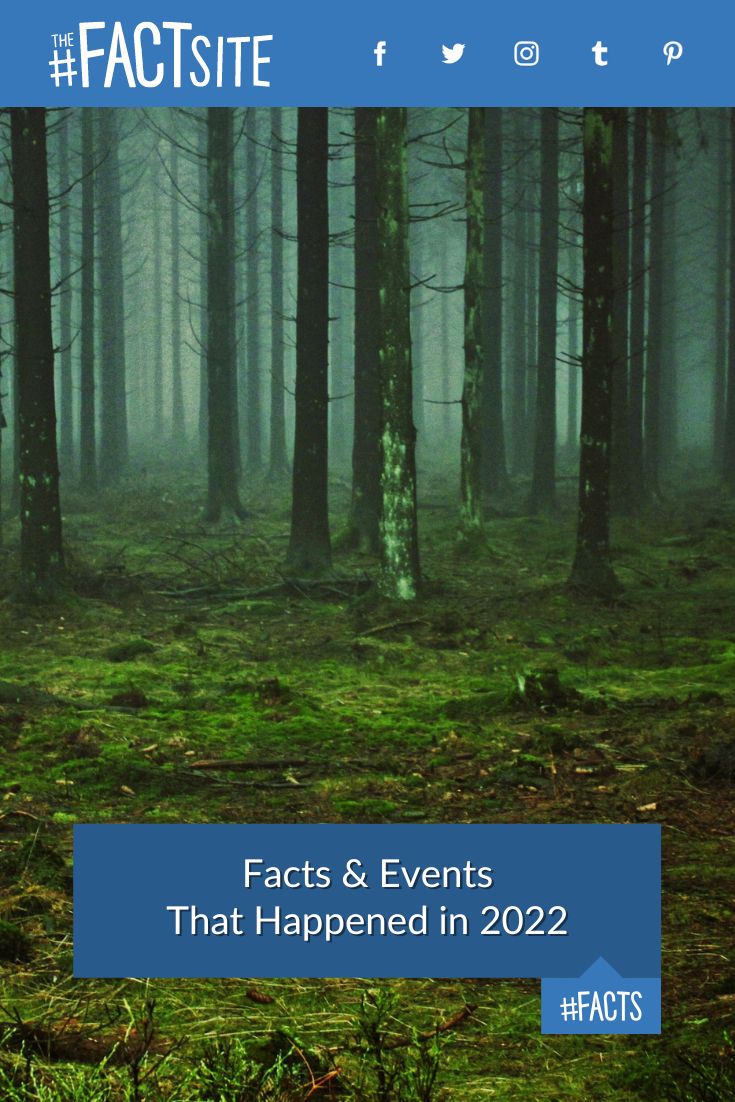 2022 Facts Events That Happened In This Year The Fact Site 2022-facts-events-that-happened-in-this-year-the-fact-site