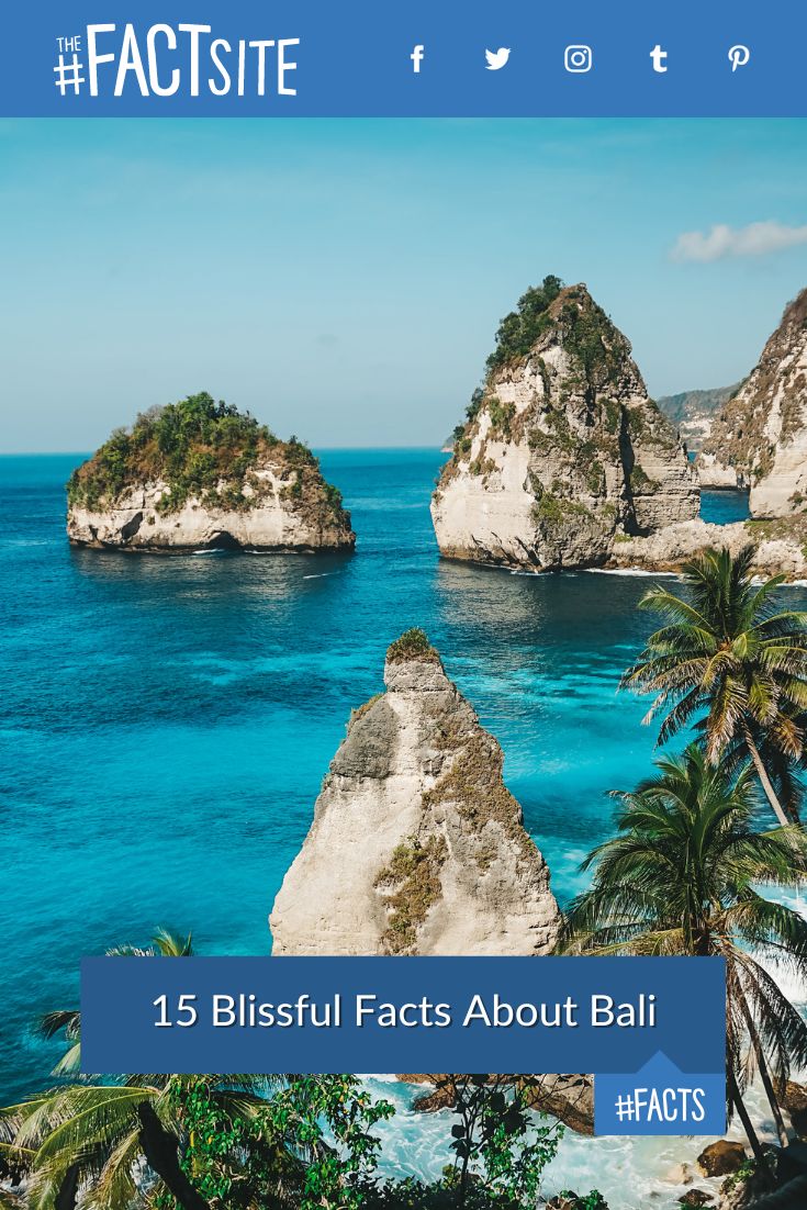 15 Blissful Facts About Bali - The Fact Site