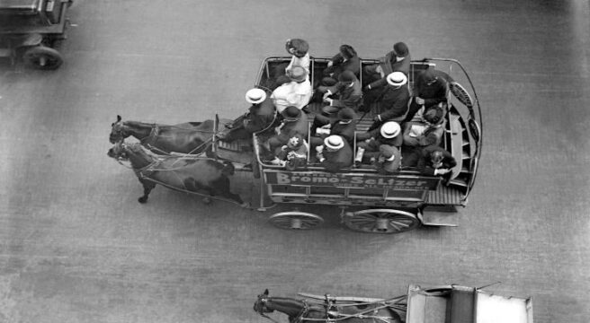 10 Bustling Facts About Buses - The Fact Site