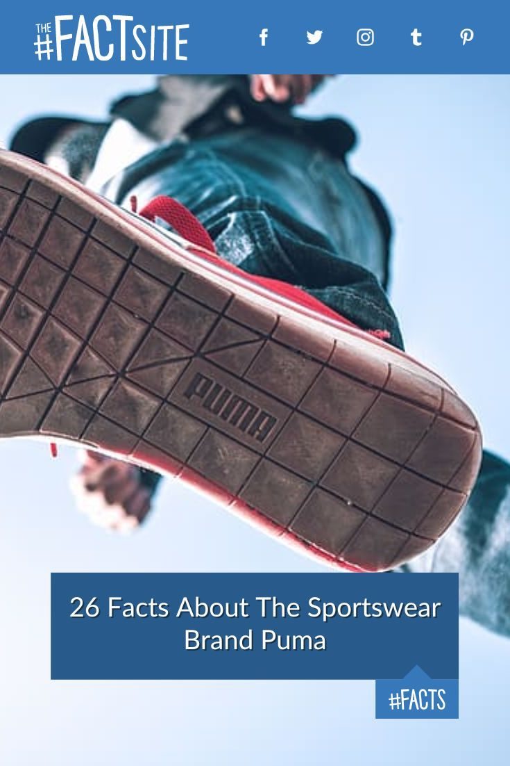 26 Facts About The Sportswear Brand Puma - The Fact Site