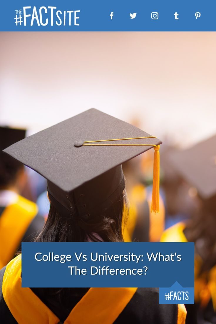 College Vs University: What's The Difference? - The Fact Site