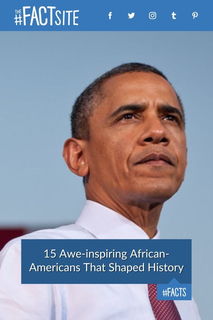 15 Awe inspiring African Americans That Shaped History The Fact Site 15-awe-inspiring-african-americans-that-shaped-history-the-fact-site