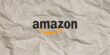 15 Ambitious Facts About Amazon - The Fact Site