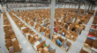 15 Ambitious Facts About Amazon - The Fact Site