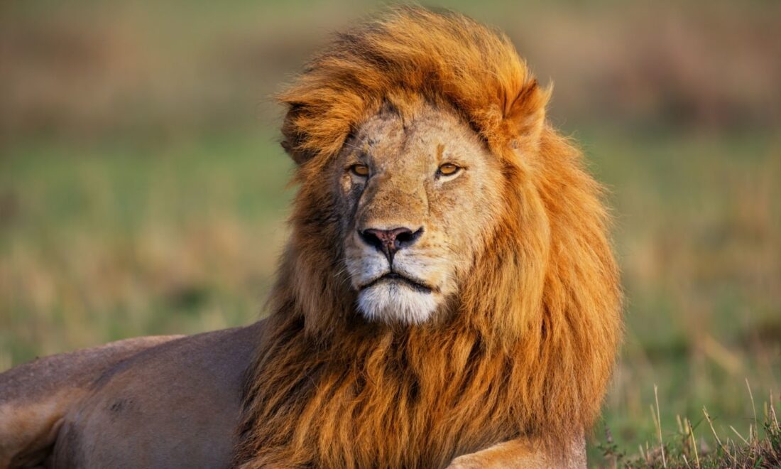 November 26: Facts & Historical Events On This Day - The Fact Site