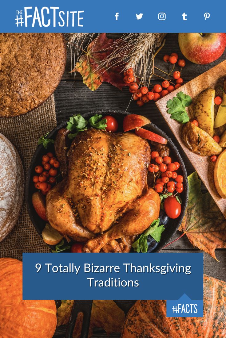 9 Totally Bizarre Thanksgiving Traditions - The Fact Site