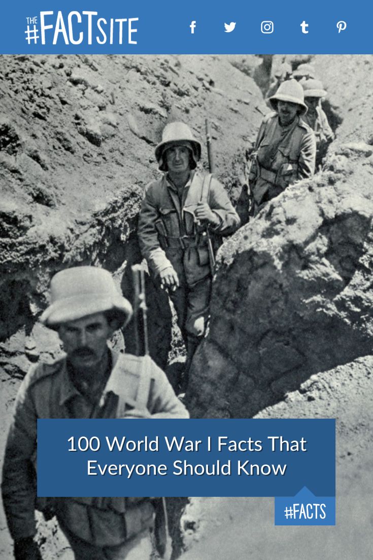 100 World War I Facts That Everyone Should Know - The Fact Site