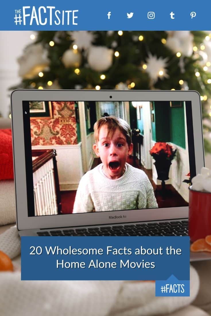 20 Wholesome Facts About the Home Alone Movies - The Fact Site