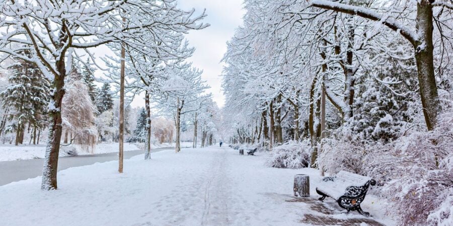 21 Cool Facts About The Winter Solstice - The Fact Site