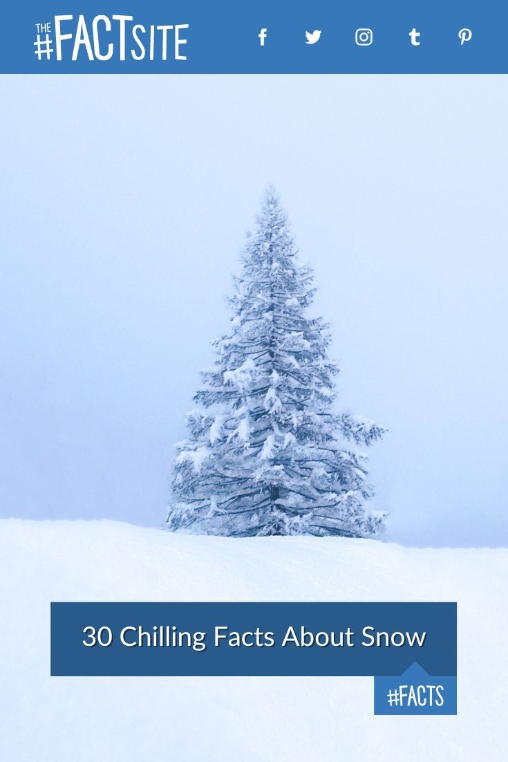 30 Chilling Facts About Snow - The Fact Site