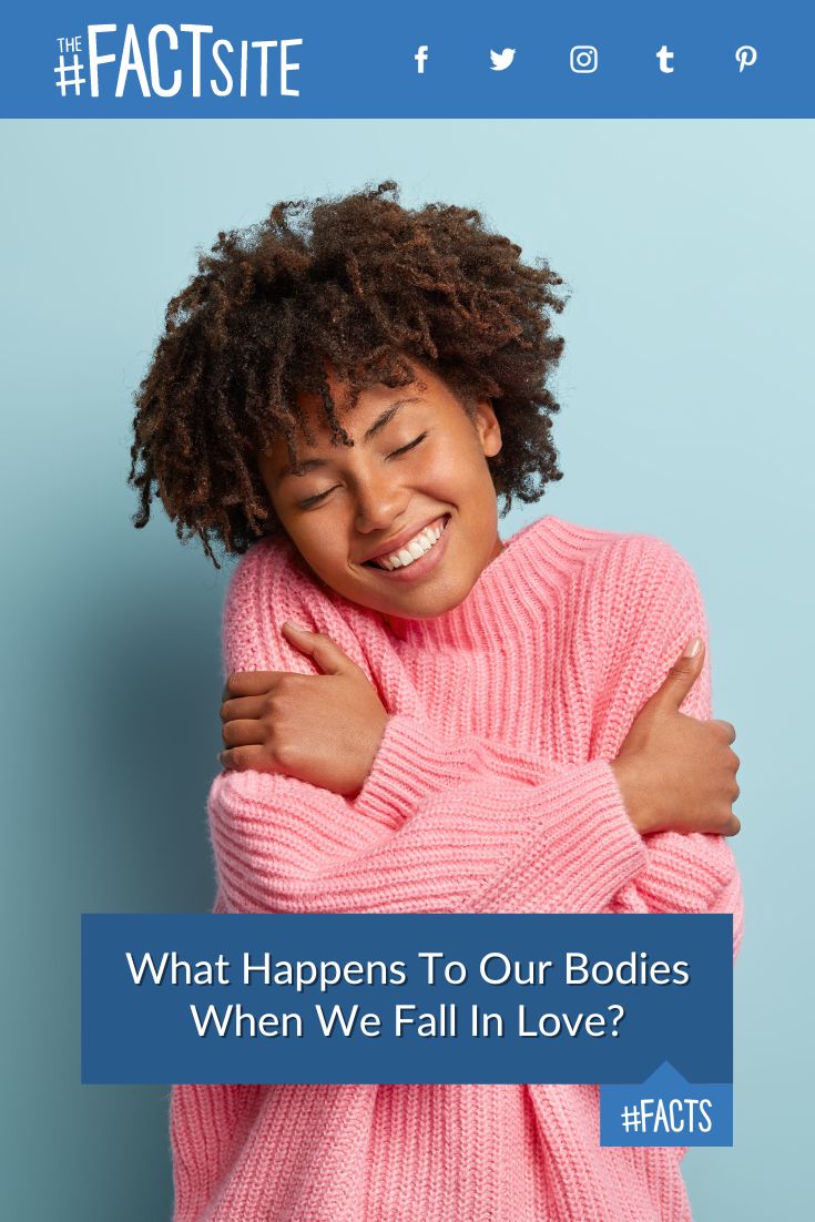What Happens To Our Bodies When We Fall In Love? - The Fact Site