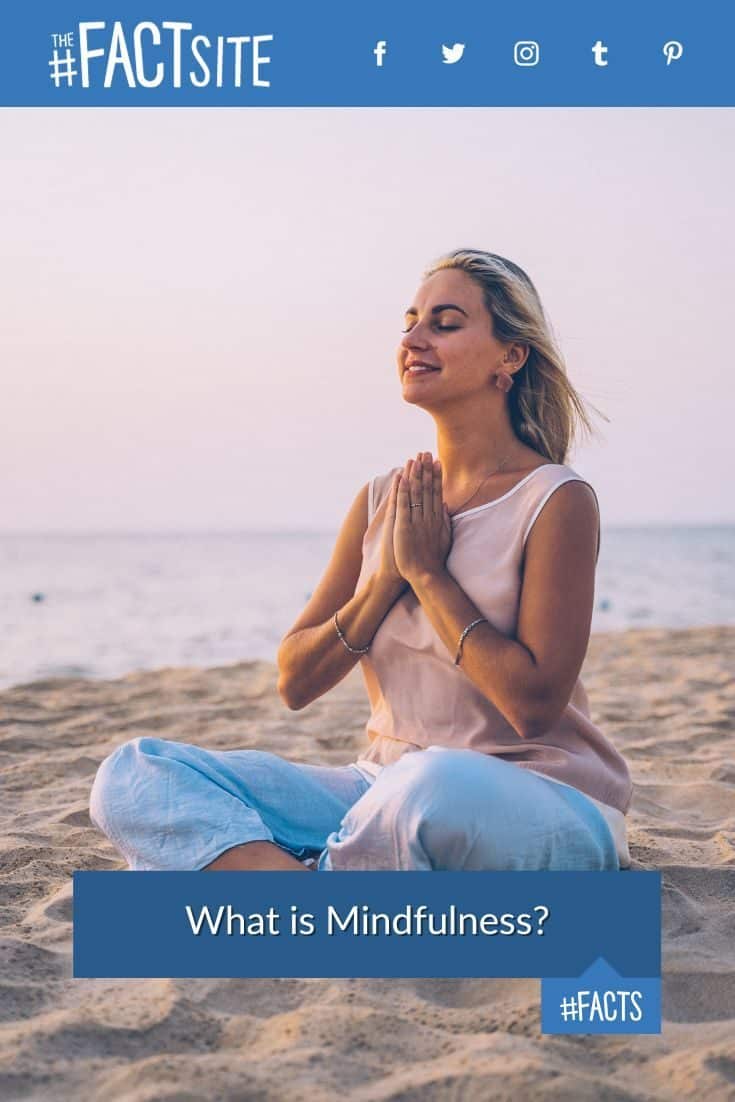 What is Mindfulness? - The Fact Site