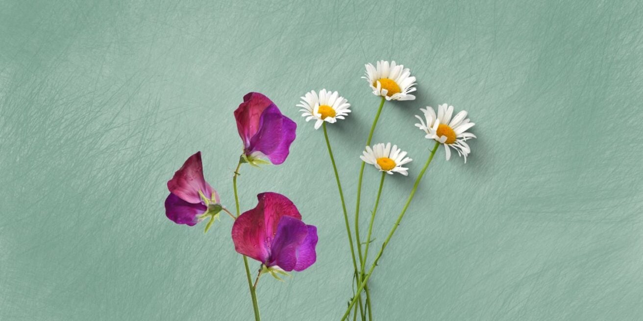 20 Awesome Facts About April - The Fact Site