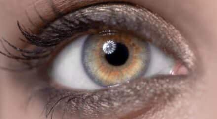 15 Hazy Facts About the Color Hazel - The Fact Site