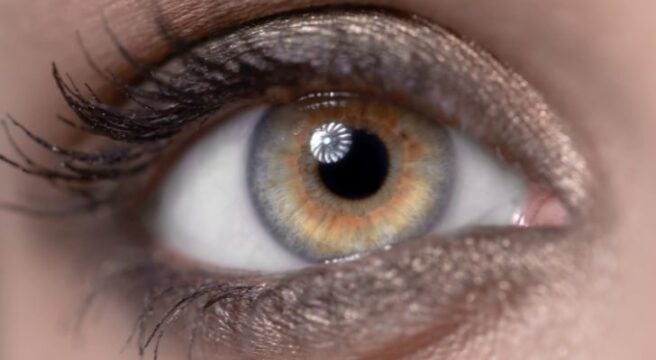 15 Hazy Facts About the Color Hazel - The Fact Site