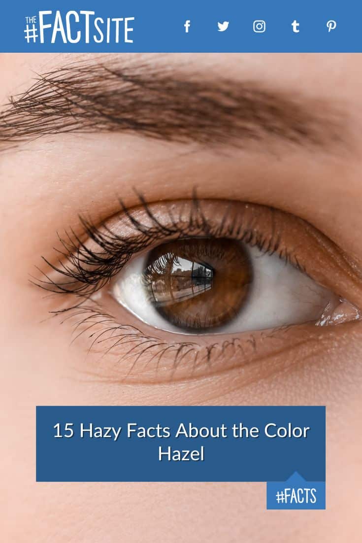 15 Hazy Facts About the Color Hazel - The Fact Site