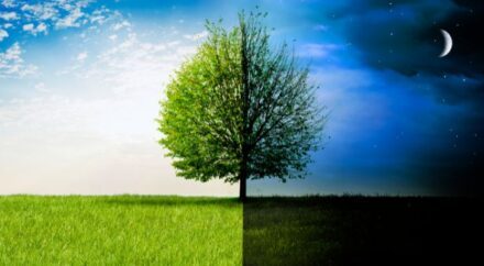 15 Invigorating Spring Facts to Lift Your Spirits - The Fact Site